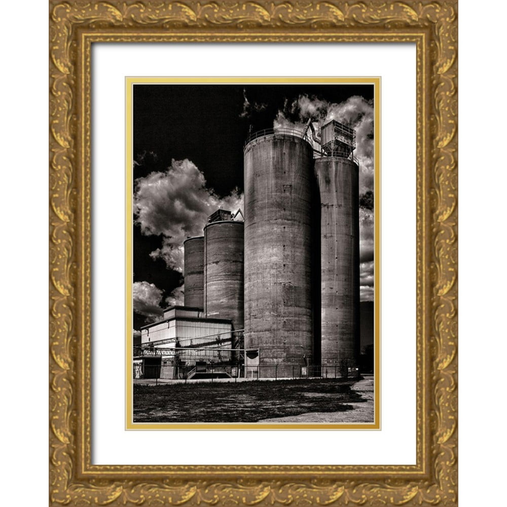 Carson, Brian 14x18 Gold Ornate Wood Framed with Double Matting Museum ...