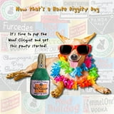 Haute Diggity Dog Muttini Collection | Unique Squeaky Parody Plush Dog ...