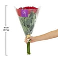 Fresh-Cut Solid Roses Flower Bunch, Minimum of 12 Stems, Colors Vary ...