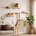 5-in-1 Cat Wall Shelves: Cat Climbing Furniture with Wall Mounted Perch ...