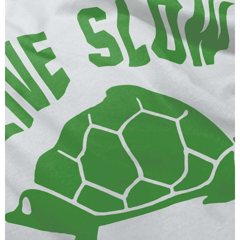Slow Turtle Meme