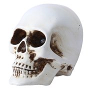 Halloween Skeletons & Skeleton Decorations | Walmart Canada