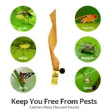 Walmart 16 Pcs Sticky Fly Strips, Fly Catcher Tape, Insect Killer, Gnat ...