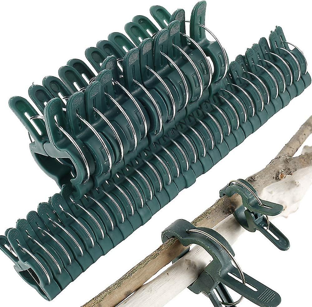 Garden Plant Clips Adjusting Gripper Clips For Plants (60 Pcs) | Bodega ...