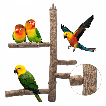 Natural Wood Bird Bass Rack for Hanging Multi-branch Bass for Parrots ...