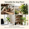 2 Pack 19oz Large Self Watering Globes for Plants - No-Leak Clear ...