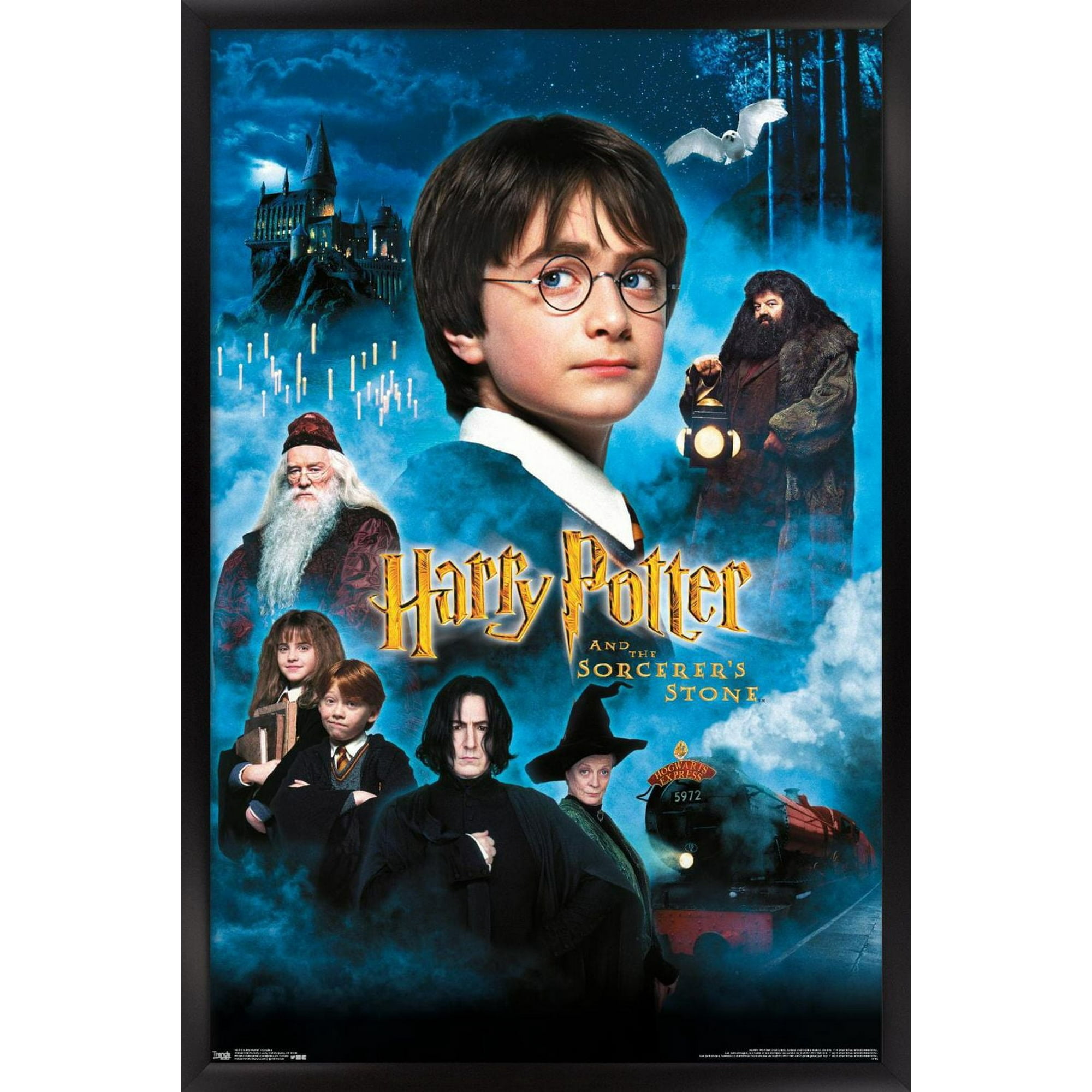 Click here for Trends International Harry Potter And The Sorcerer... prices