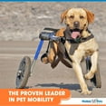 Walkin' Wheels Dog Wheelchair - Vet Approved - Large Dogs 70 -180 lbs ...