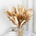 Dried Pampas Grass Decor - 110 Pcs Dried Flowers for Boho Home Decor ...