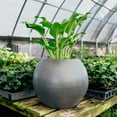 Ash & Ember Onyx 24" D Ceramic Indoor Outdoor Round Sphere Planter ...