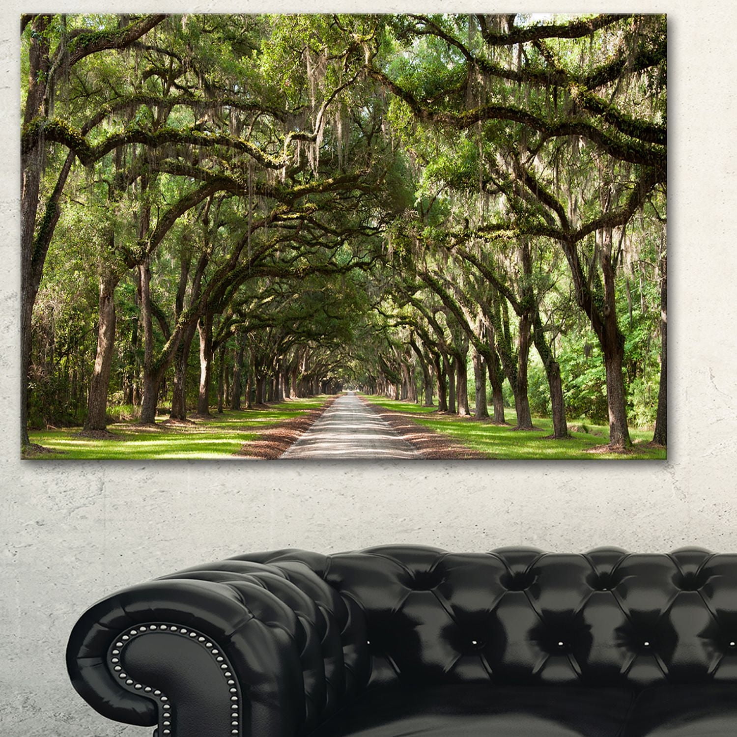 Click here for Designart Design Art Live Oak Tunnel Photography C... prices