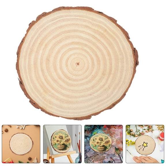20Pcs Wood Slices Natural Round Wood Slices Unfinished Wooden Slabs for ...
