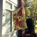 Carolines Treasures ASA2133CHF Red Squirrels Flag Canvas House Size ...