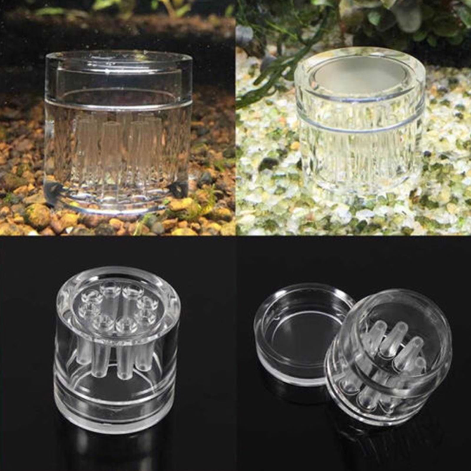 Buy HeroNeo Leech-Trap for Aquarium 8 Holes Transparent Acrylic Mini ...