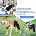 Large Dog Leg Brace Adjustable Compression Hind Knee Stabilizer Support ...