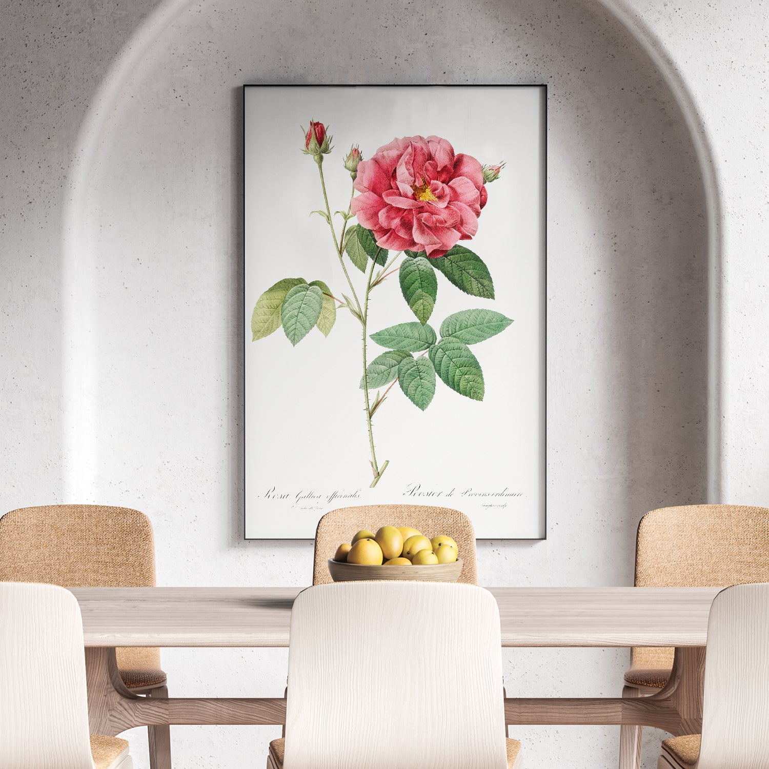 French Rose - 1801–1819 | Pierre-Joseph Redouté | Premium Fine Art ...