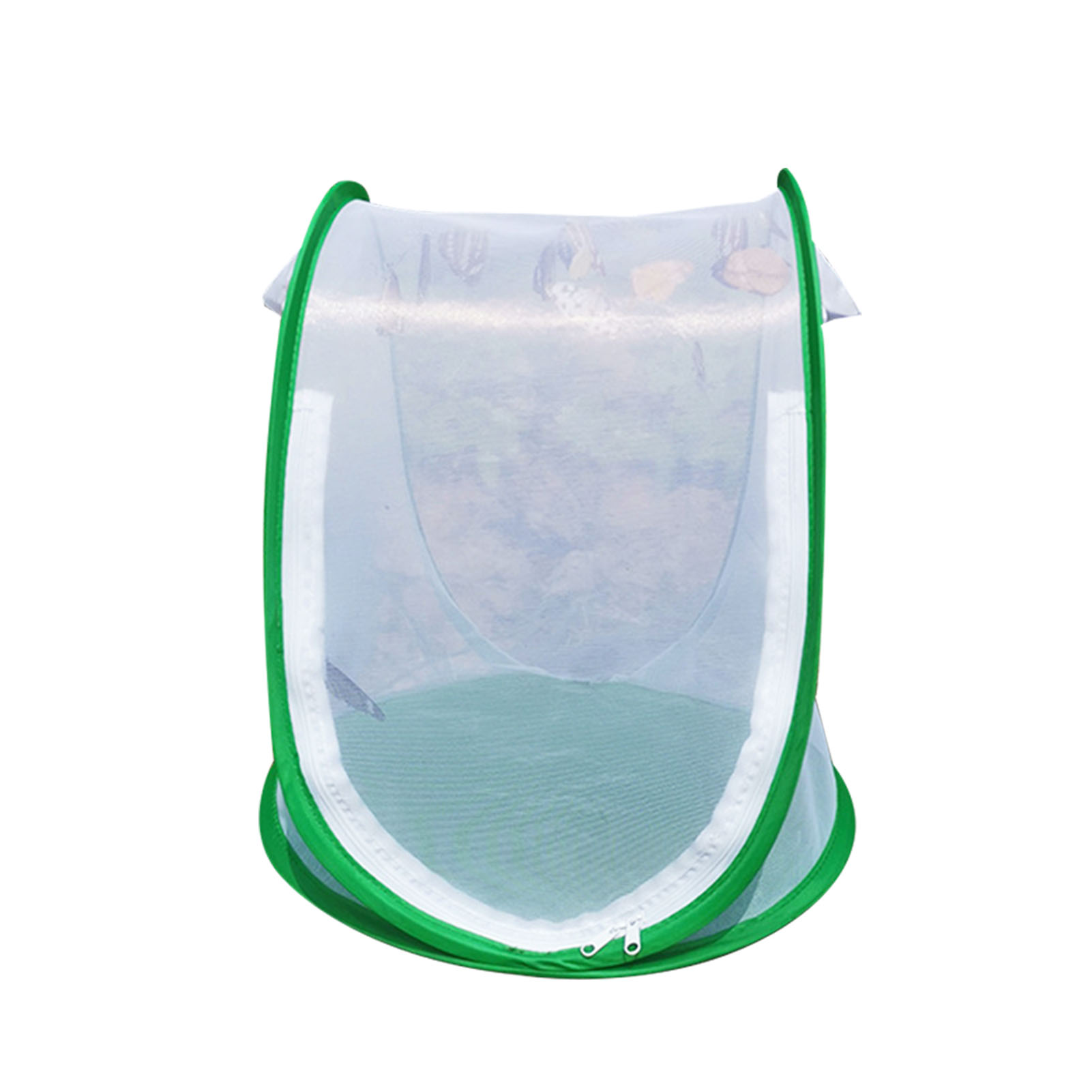 Seedling Incubator Habitat Collapsible Design Observation Net Summer ...