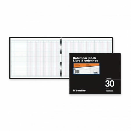 Blueline 769 Series Columnar Book - Walmart.ca