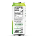 Ryl Iced Tea, Green Citrus, Antioxidant Superblend, Zero Sugar, Low ...