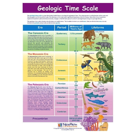 Geologic Time Scale Visual Learning Guides, Set/5-4-Panel, 11" x 17 ...
