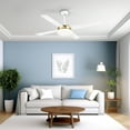 Dextrus 52in Overhead Home & Kitchen Fan, 4 Blades, Dimmable LED Light ...
