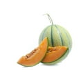 Vegetable Seeds- Hearts of Gold Cantaloupe -20 seeds- Early melon ...
