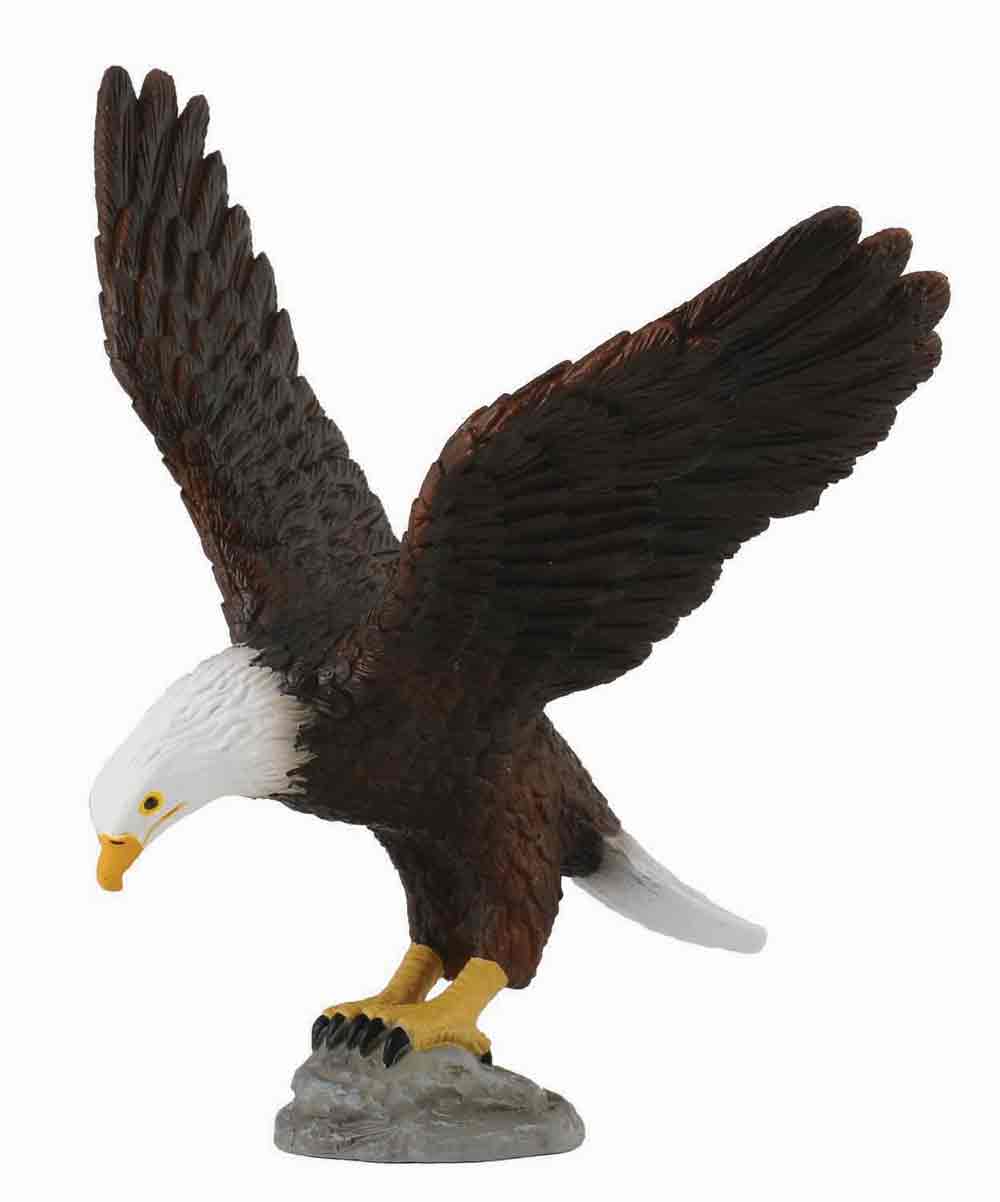 CollectA Wildlife American Bald Eagle Toy Figure - Authentic Hand ...