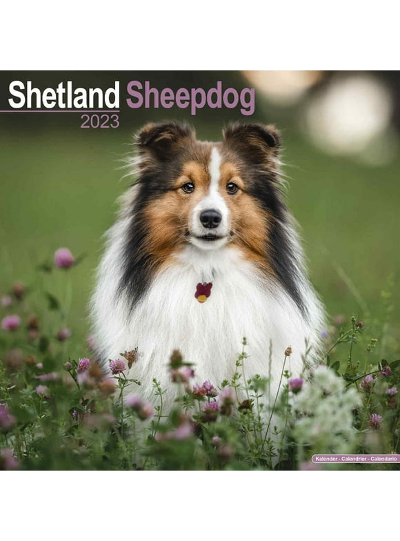 Dog Wall Calendars in Wall Calendars - Walmart.com