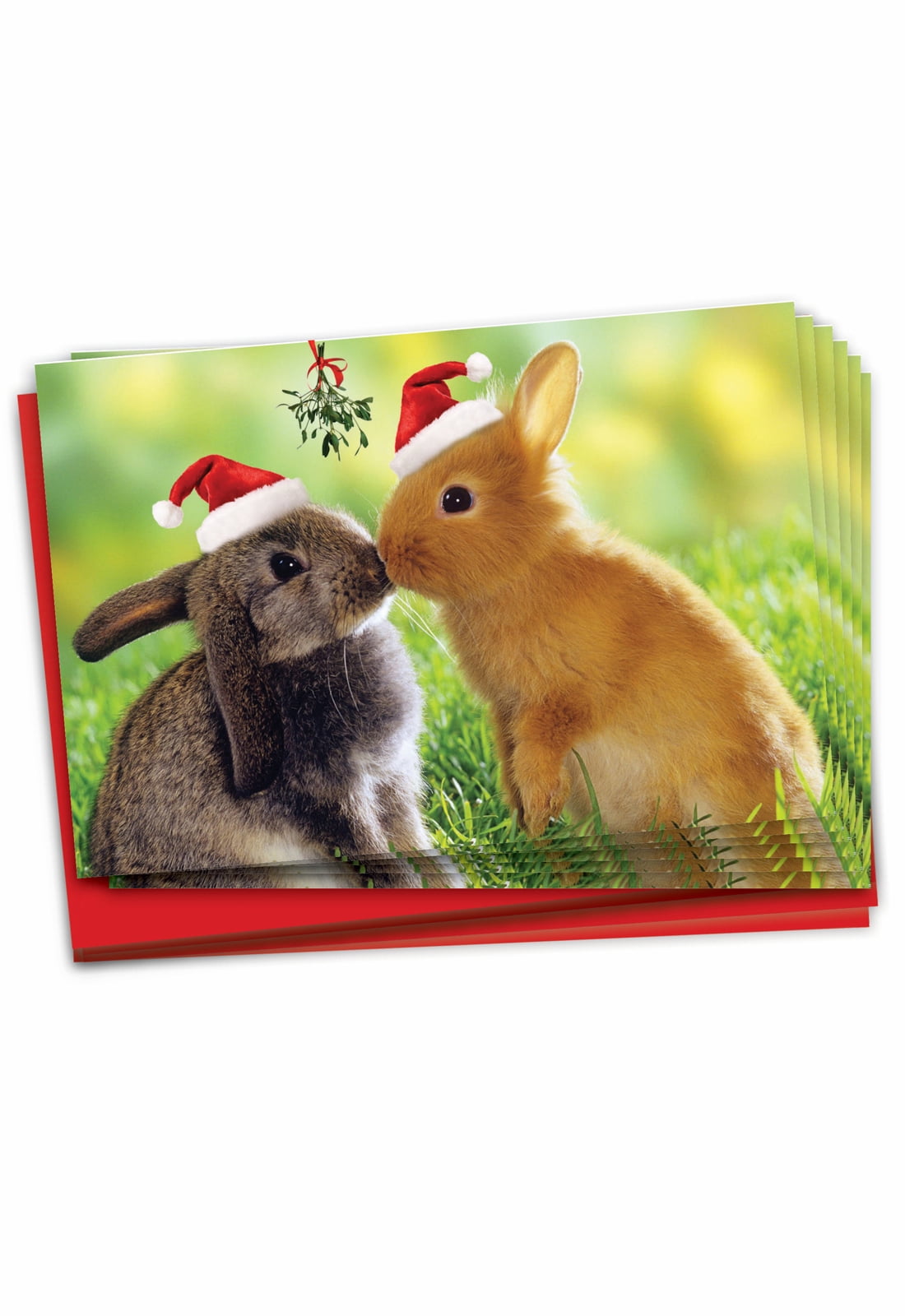 NobleWorks 12 Christmas Greeting Cards Bulk Set with 5 x 7 Inch ...