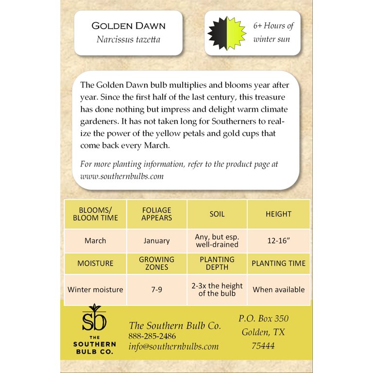 Bulb Bloom Time Chart | visitchile.cl