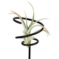 Phenofice White Cement Tabletop Air Plant Holder Stand Creative Storage ...