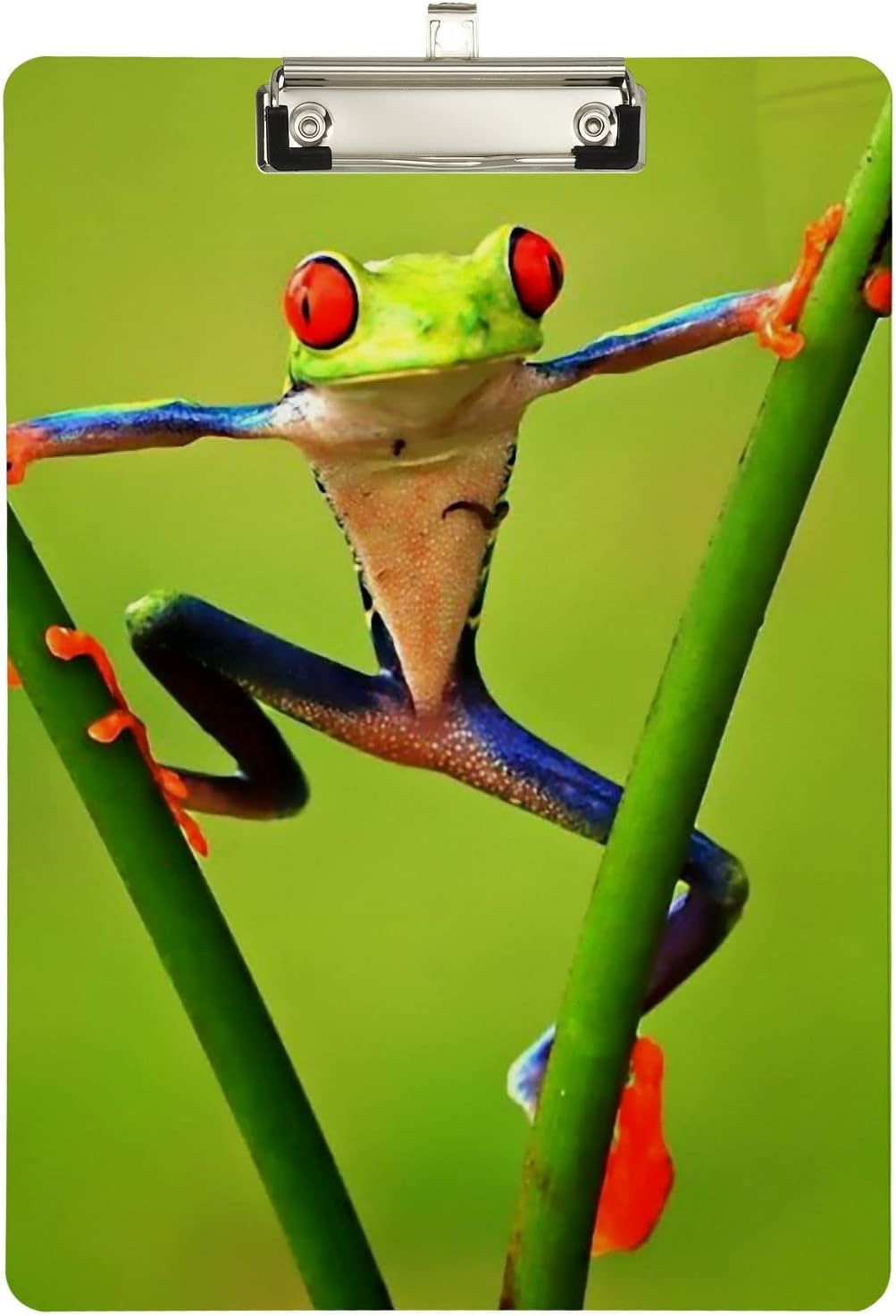 FMSHPON Funny Tree Frog Clipboard Hardboard Wood Nursing Clip Board and ...