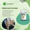 Iyasa Holistics Natural Indigo Powder, 16 oz 1 lb Pound, Indigofera ...