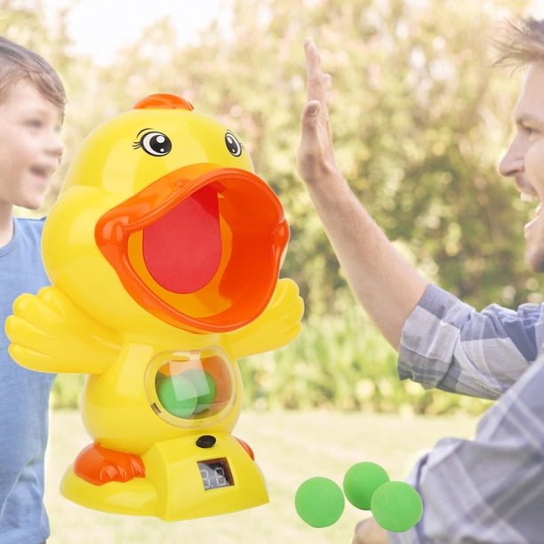 Duck Shooting