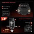 A-Premium Idle Air Control Valve IAC + Throttle Position Sensor TPS ...