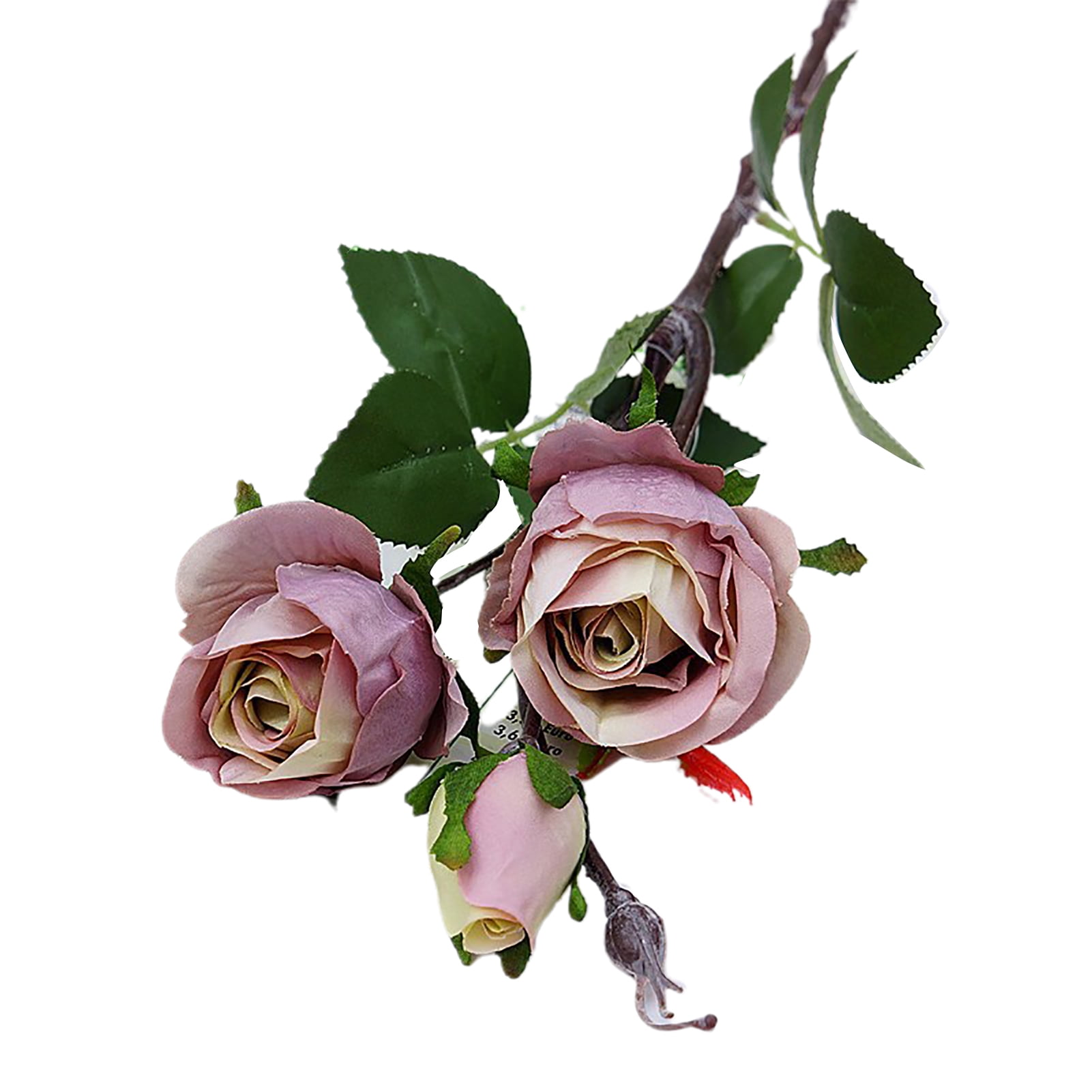 Single Beautiful Flower With Stem