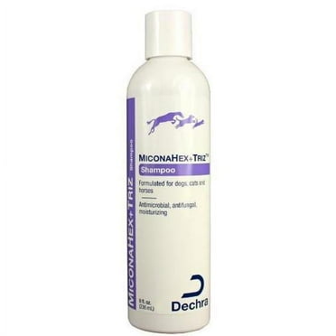 Dechra DermaBenSs Shampoo for Cats and Dogs 1 Gallon - Walmart.com