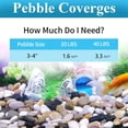 20lbs Large River Rocks for Landscaping, 3-4" Decorative Pebbles for ...