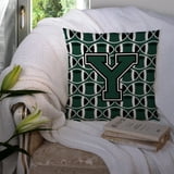 Letter Y Football Green and White Fabric Decorative Pillow - Walmart.com