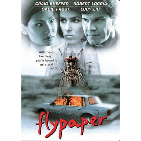 Flypaper (DVD) - Walmart.com