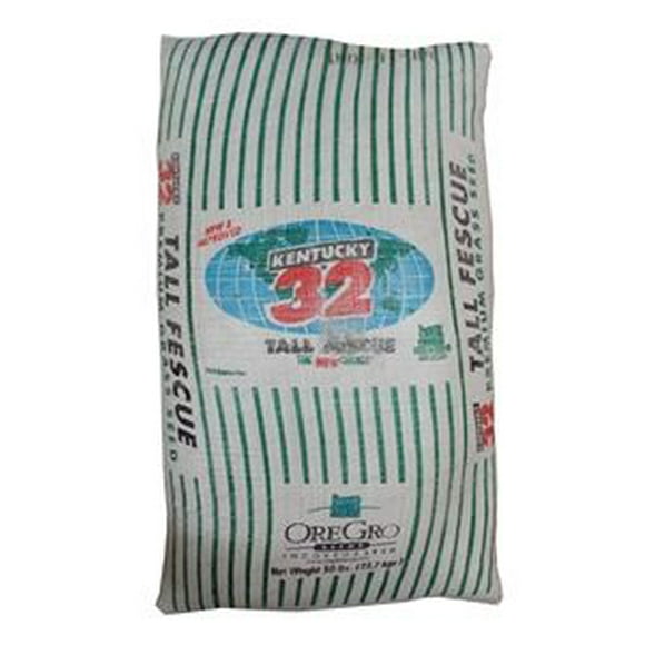 Kentucky 31 Tall Fescue Grass Seed