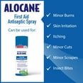 ALOCANE Maximum Strength First Aid Antiseptic Spray, 3.5 Fl Oz HSA/FSA ...