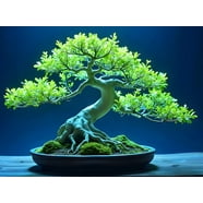 CZ Grain Dwarf Bonsai Apple Tree Seeds, 50 Seeds, Exotic Indoor Fruit Plants - Walmart.com