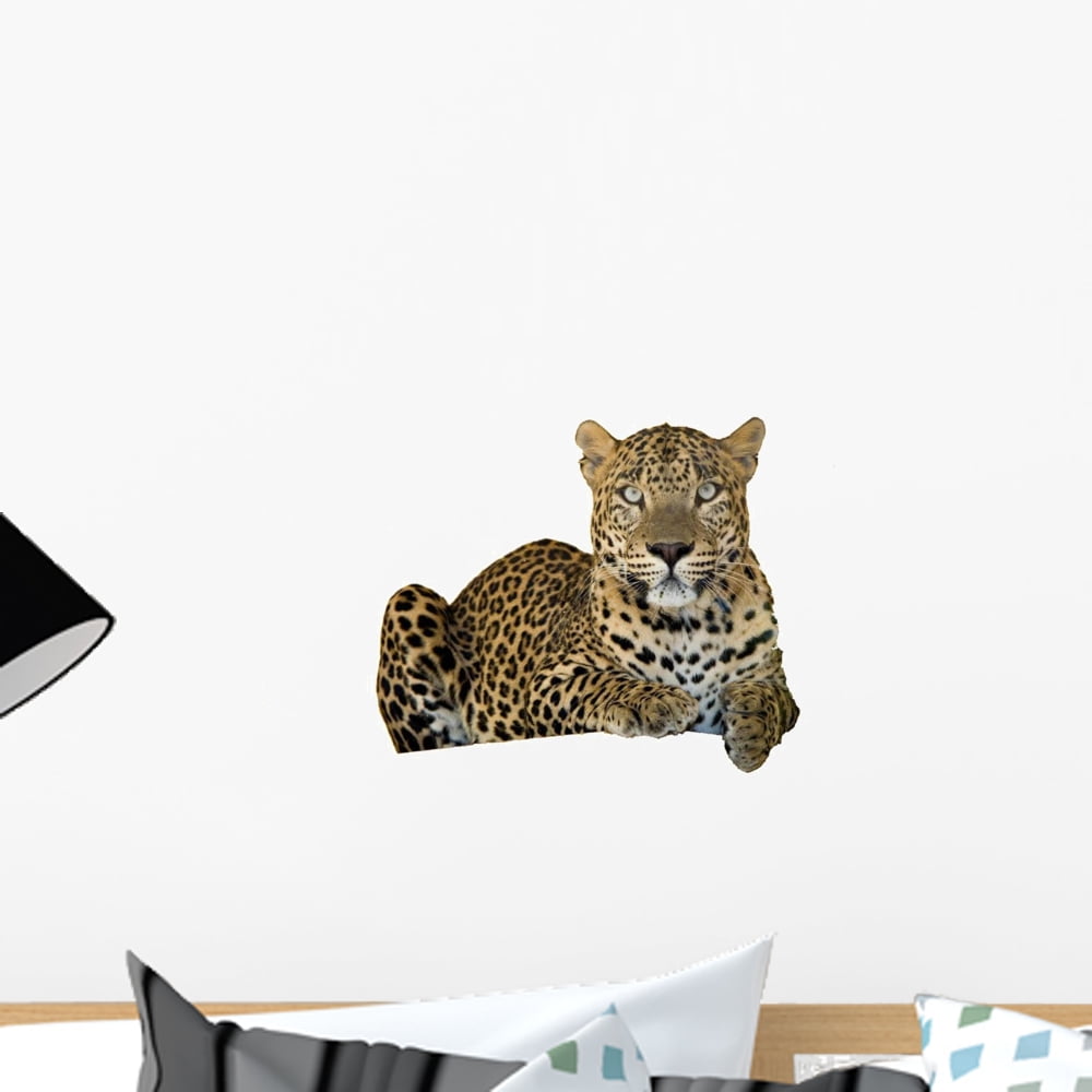 Leopard Wall Decal by Wallmonkeys Peel and Stick Graphic (18 in W x 12 ...