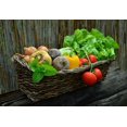 15 Classic American Vegetable Seeds - Non-GMO - Heirloom - Fan Favorite ...