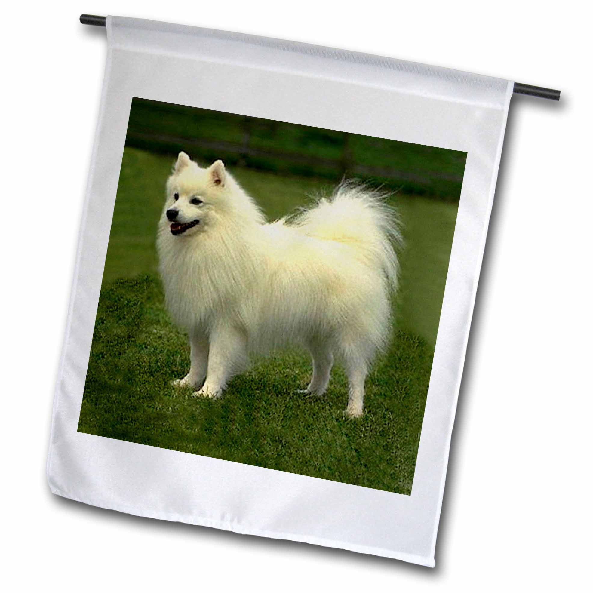 American Eskimo 12 x 18 inch Garden Flag fl-642-1 - Walmart.com