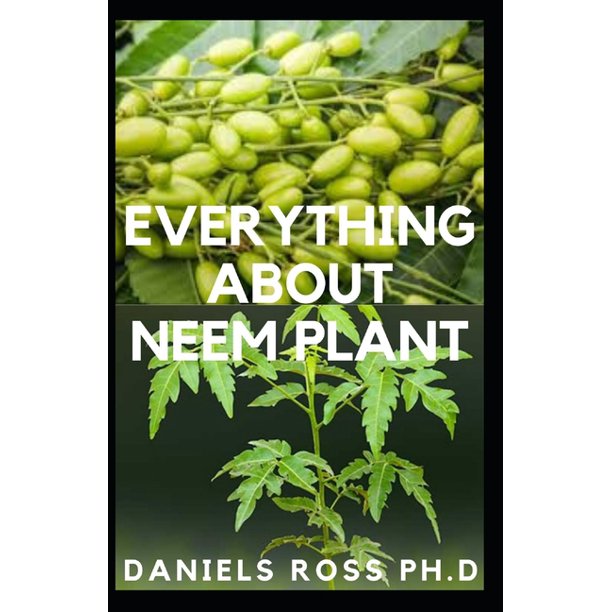Everything about Neem Plant : Neem Plant Oil, Healing Properties ...