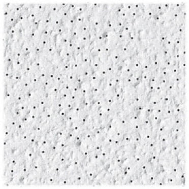 Genesis 2’ x 4’ Smooth Pro (10 Pack) Waterproof, Fire-Rated PVC ...