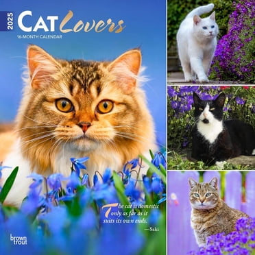 Tuxedo Cats | 2024 12x24" (Hanging) Square Wall Calendar | BrownTrout ...