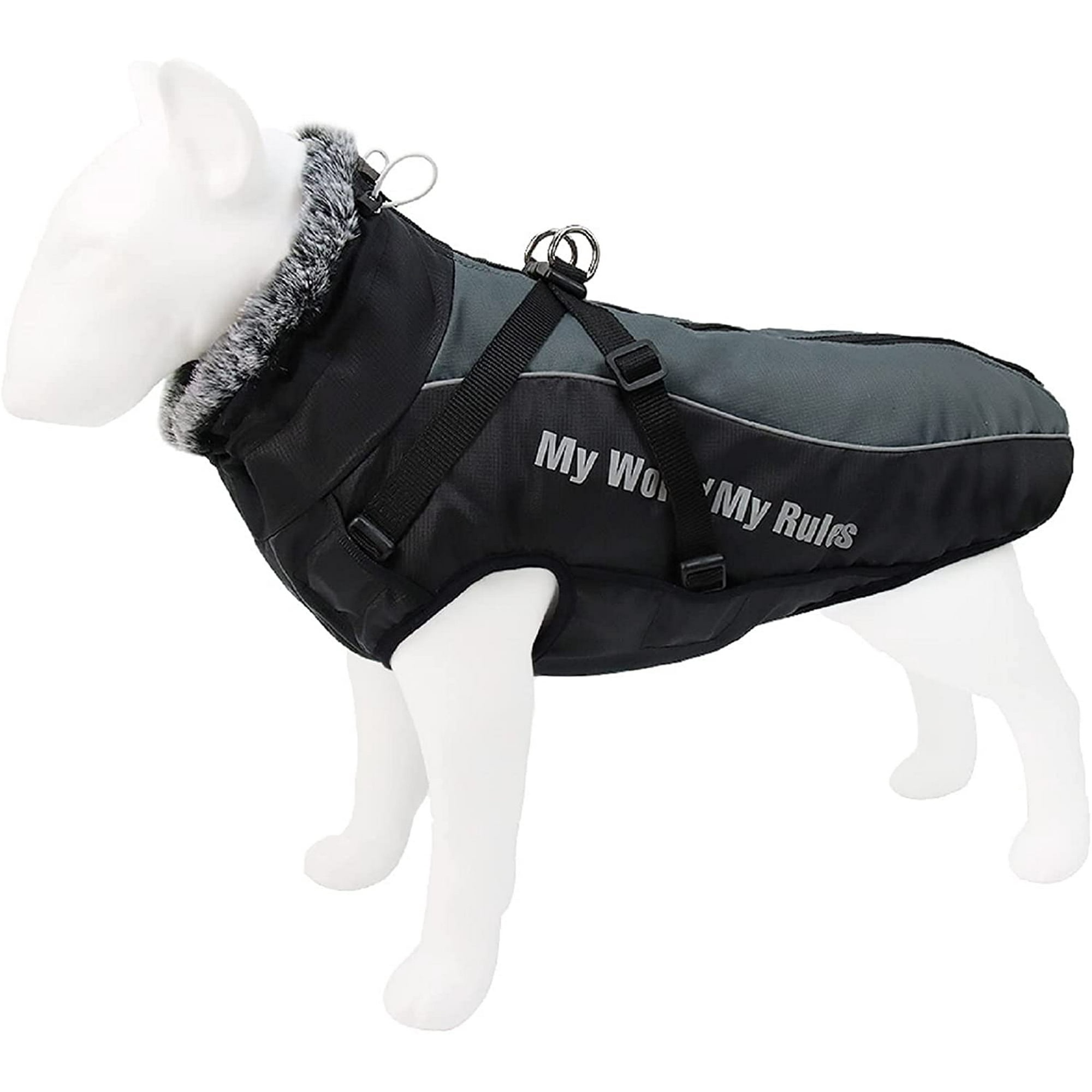 How Should A Dog Coat Fit